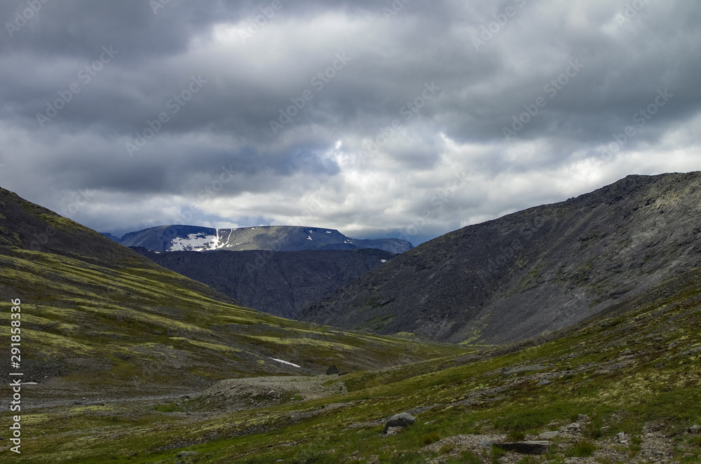 Mountain tundra with mosses and rocks covered with lichens, Hibiny ...