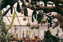 Sleigh Bells Free Stock Photo - Public Domain Pictures