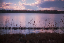 Sunset Over The Marsh Free Stock Photo - Public Domain Pictures