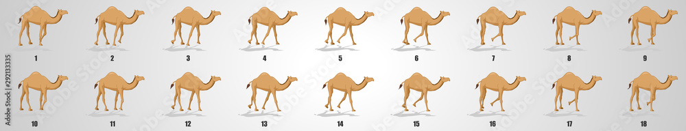 Camel Walk cycle animation sequence Stock Vector | Adobe Stock