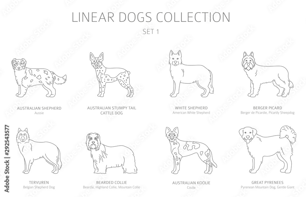Simple line dogs collection isolated on white. Dog breeds. Flat style ...