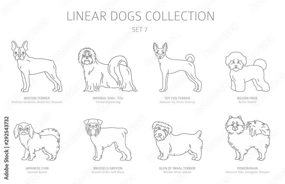 Simple line dogs collection isolated on white. Dog breeds. Flat style ...