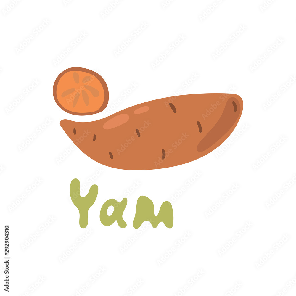 Sweet golden yam kind of potato. Vector illustration isolated on white ...