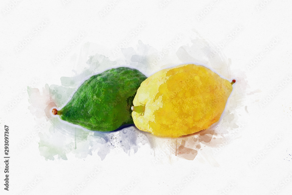 religion image of Jewish festival of Sukkot. Traditional symbol one of ...