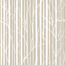 Tree Pattern Free Stock Photo - Public Domain Pictures