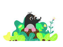 Mole Pile Free Stock Photo - Public Domain Pictures