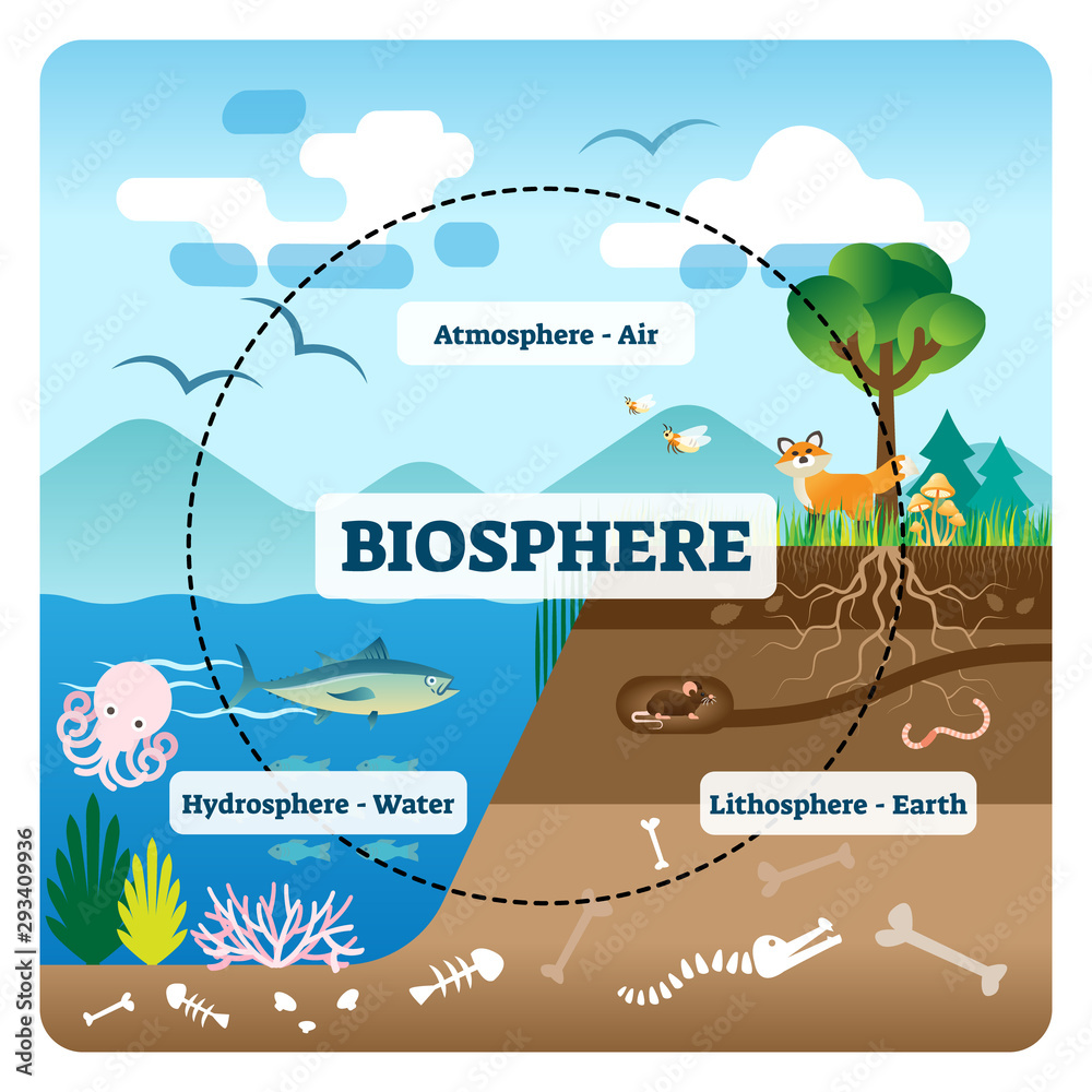 Biosphere vector illustration. Labeled all natural ecosystems with ...