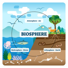 Biosphere Free Stock Photo - Public Domain Pictures