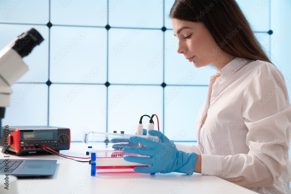 Loading Samples and Running an Agarose Gel for electrophoresis, Gel ...