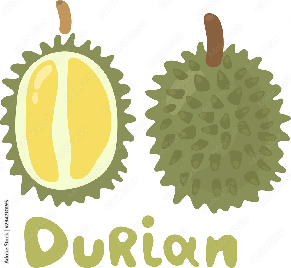 Whole and half of durian icon. Isolated object. Durian logo. Healthy ...