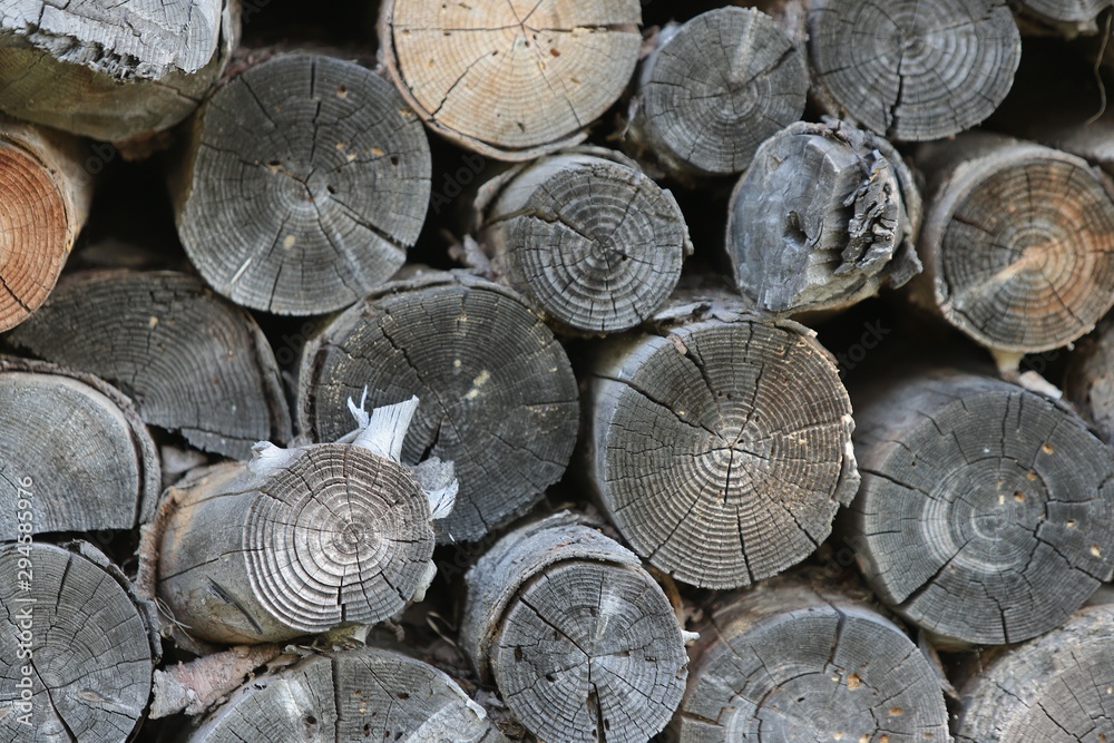Photo Stock Tree rings old weathered wood texture with the cross ...