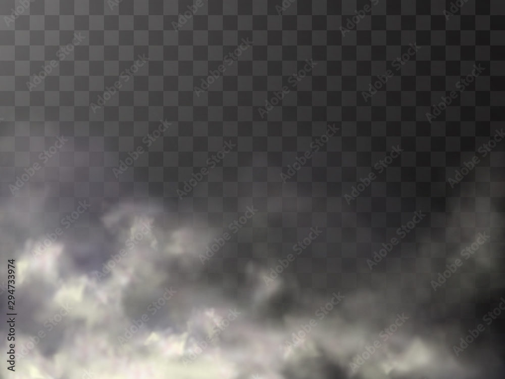 Transparent special effect stands out with fog or smoke. White cloud ...