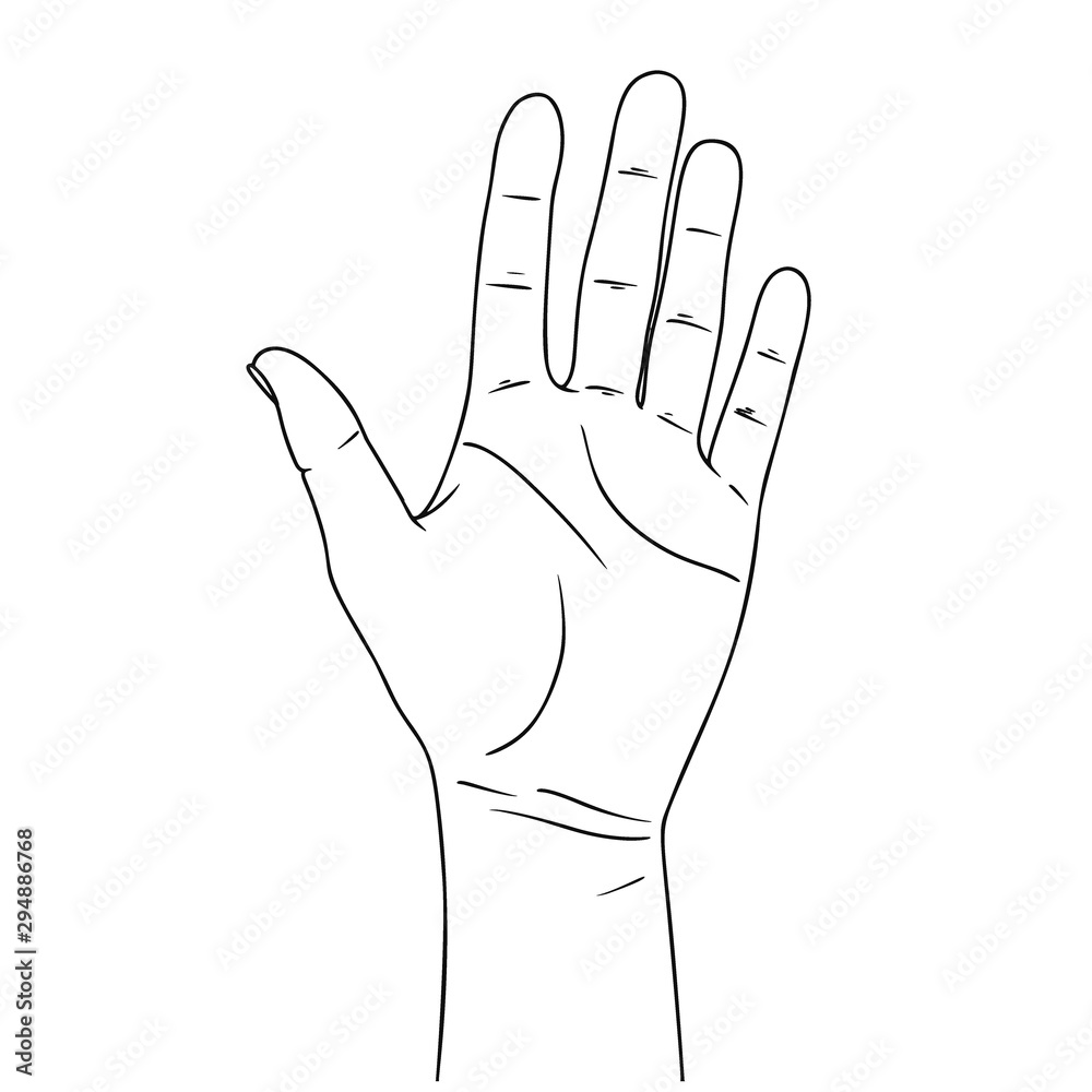 Sketch of counting hand isolated on white background. Open palm showing ...