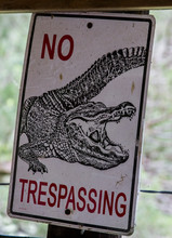 Gators Warning Sign Free Stock Photo - Public Domain Pictures