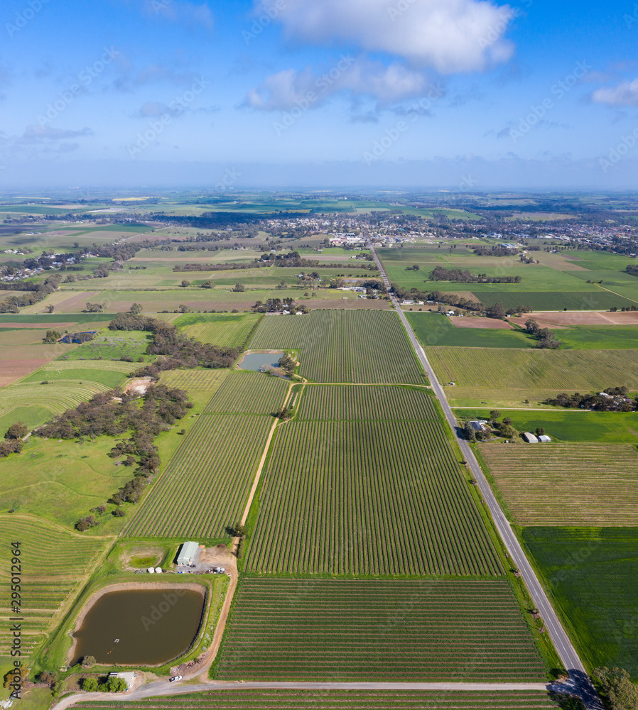 Panoramic aerial view towards Tununda in hte famous wine growing ...