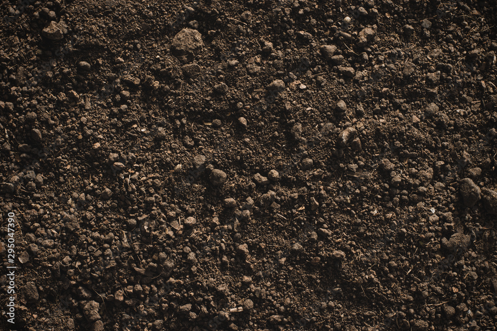 Fertile loam soil suitable for planting, soil texture background. Stock ...