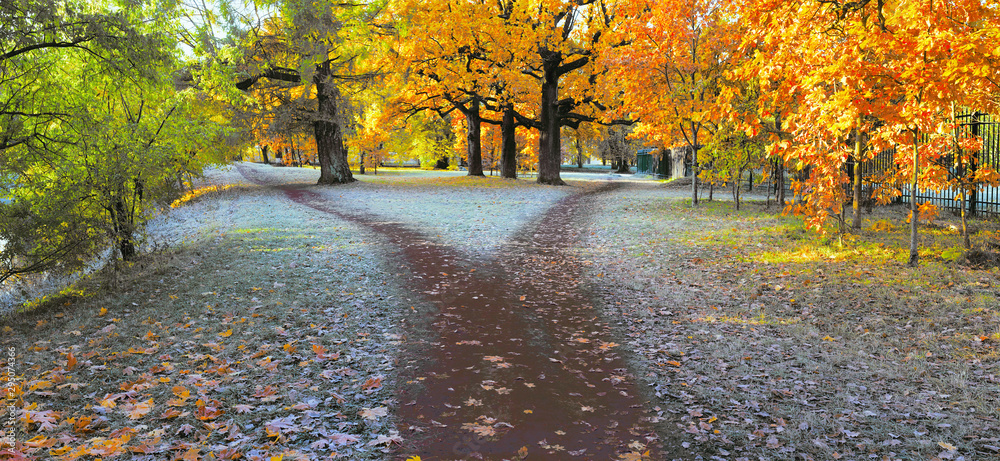 Wet trail in park splits into two tracks late fall Stock Photo | Adobe ...