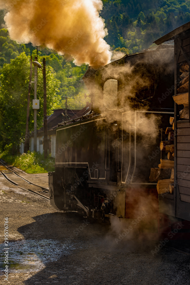 Running wood-burning locomotive of Mocanita (Maramures, Romania). Green ...