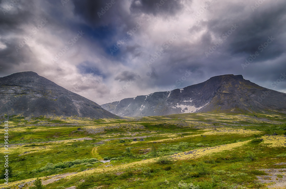 Mountain tundra with mosses and rocks covered with lichens, Hibiny ...