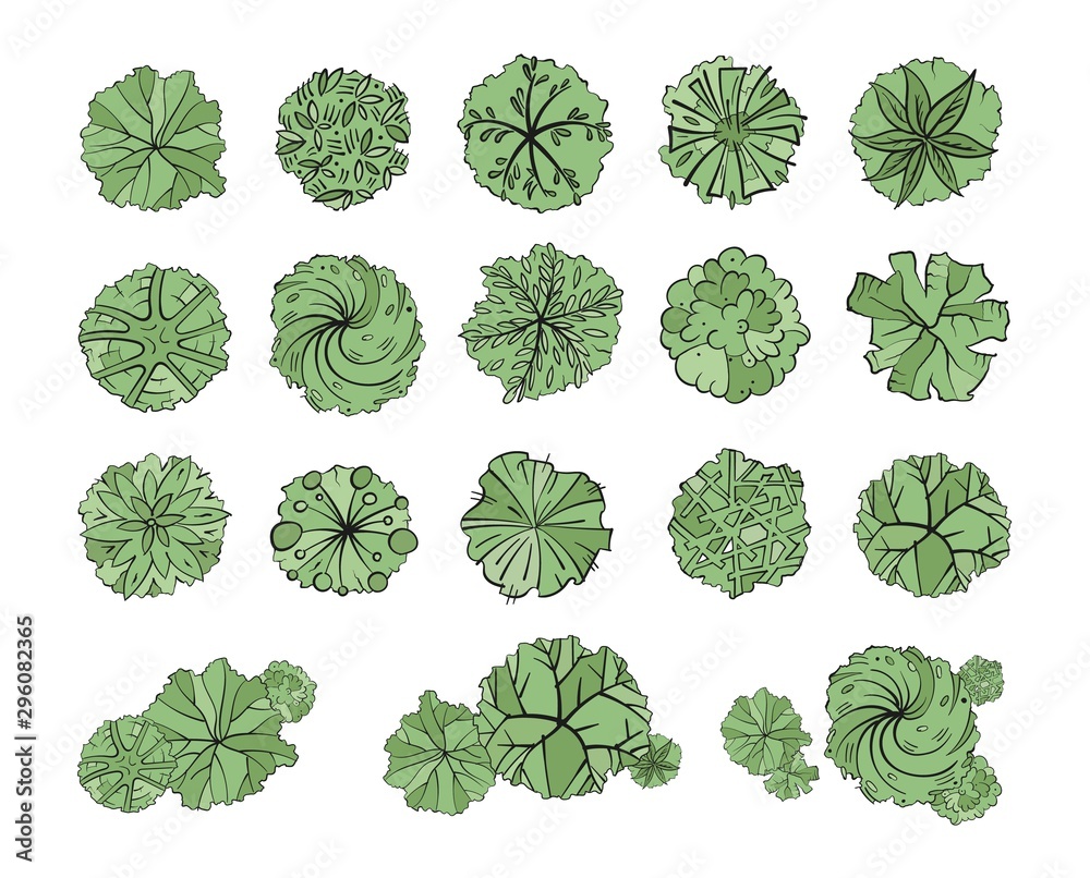 Various green trees, bushes and shrubs, top view for landscape design ...