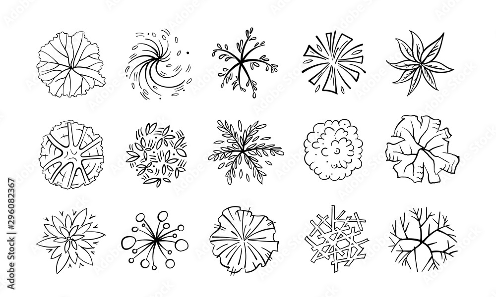 Various trees, bushes and shrubs, top view for landscape design plan ...