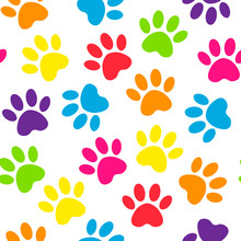 Paw Print Rainbow Colors Free Stock Photo - Public Domain Pictures