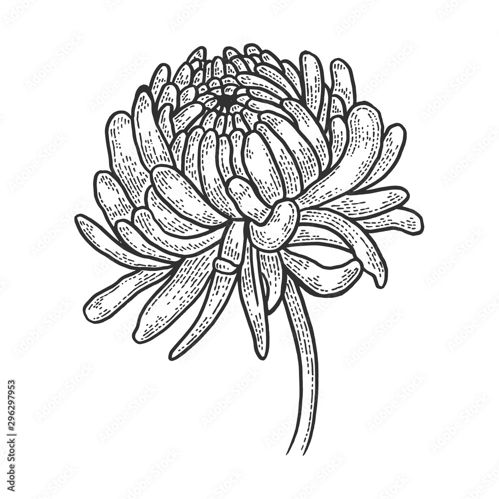 Simple Flower Scratchboard