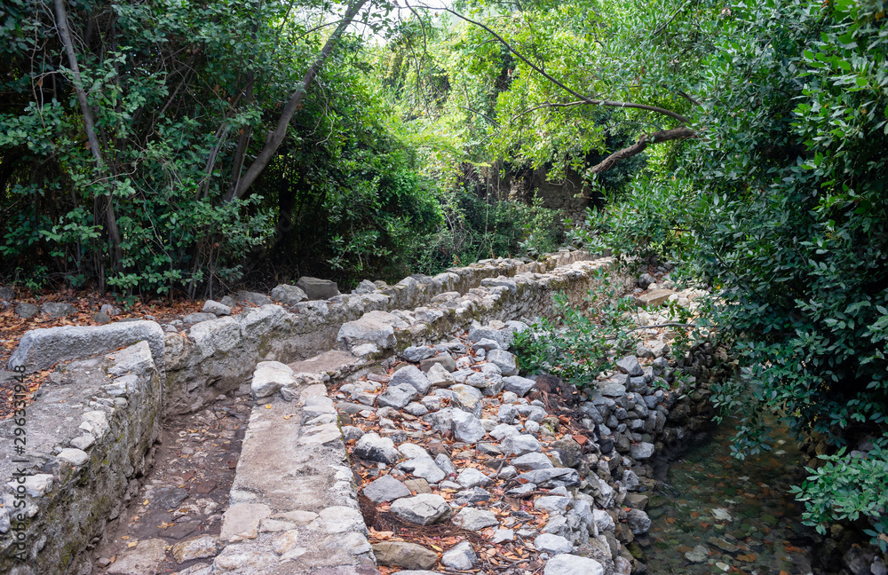 Olympos antique city. Path and streams through dense forest and the ...