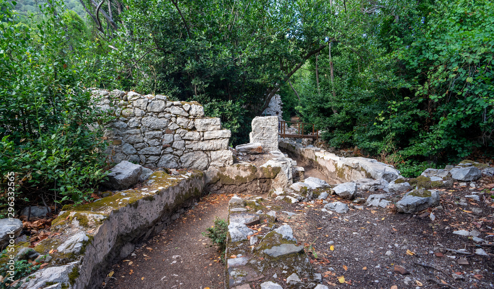 Olympos antique city. Path and streams through dense forest and the ...