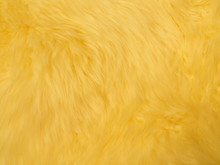 Yellow Fluffy Wool Background Free Stock Photo - Public Domain Pictures