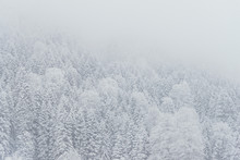 Winter Scene Free Stock Photo - Public Domain Pictures