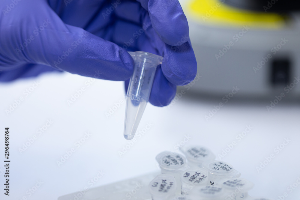 Stock-Foto „Polymerase Chain Reaction (PCR) and Agarose gel ...
