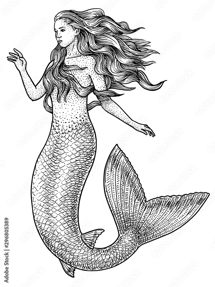 Mermaid illustration, drawing, engraving, ink, line art, vector Stock ...
