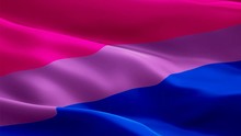Bisexual Flag Profile Avatar Square Free Stock Photo - Public Domain ...