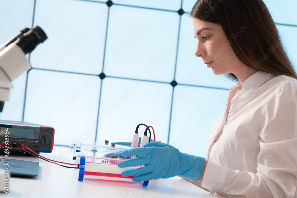 Loading Samples and Running an Agarose Gel for electrophoresis, Gel ...