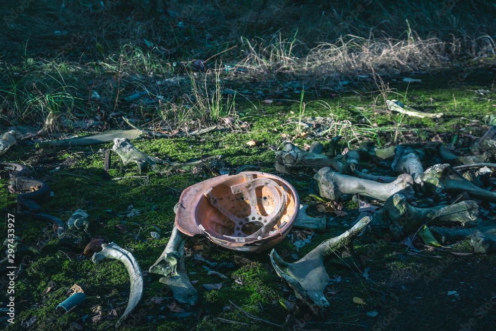 City ghost Pripyat. Chernobyl Exclusion Zone. The accident at the ...