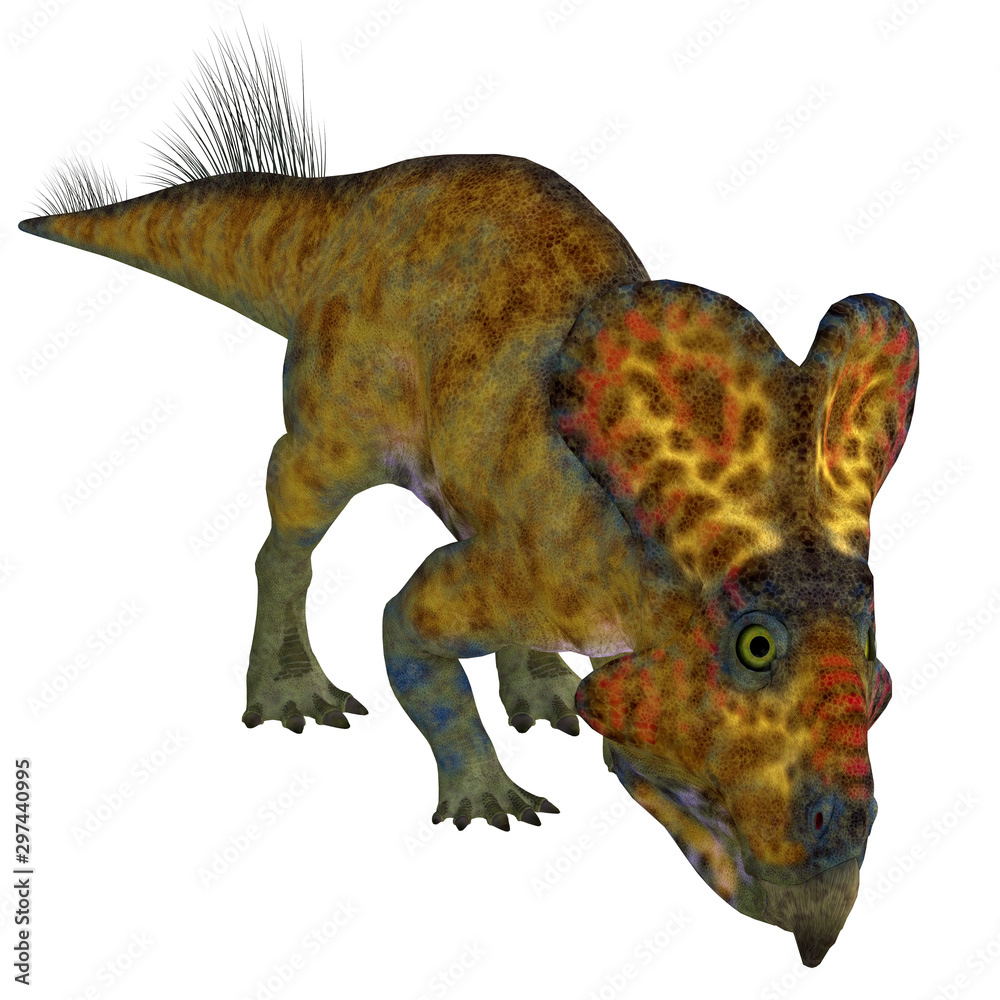 Ilustración de Stock Protoceratops Male Dinosaur - Protoceratops was a ...