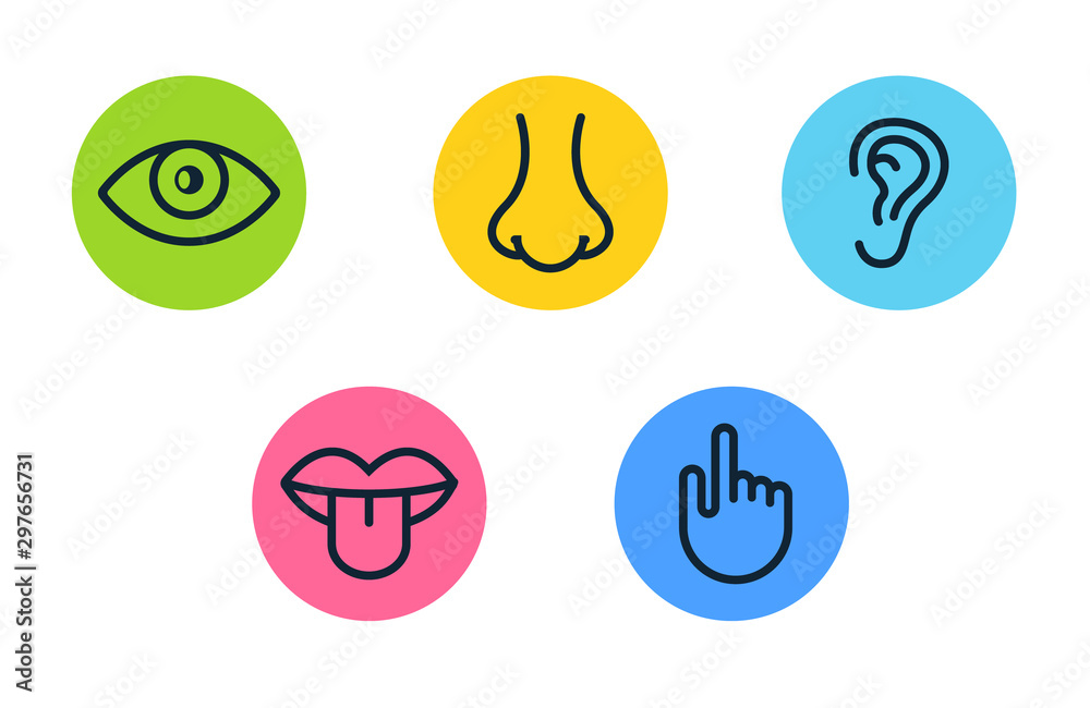 Five human senses vision eye, smell nose, hearing ear, touch hand, taste mouth and tongue. Line ...
