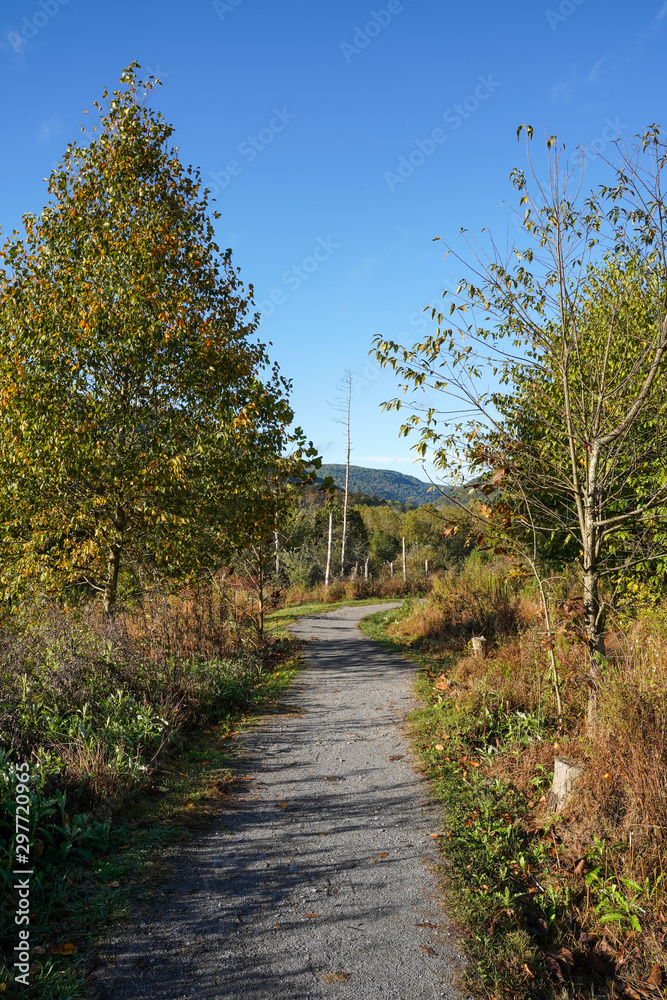 Gravel path leading to an elk viewing station in Elk County ...