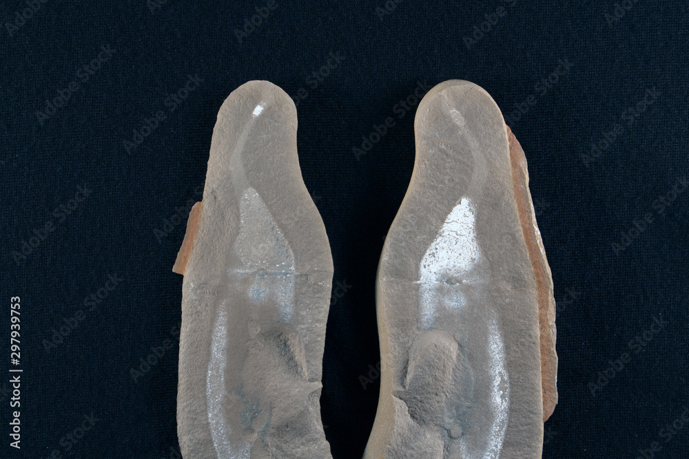 A Tully Monster, the state fossil of Illinois. A Mazon Creek concretion ...