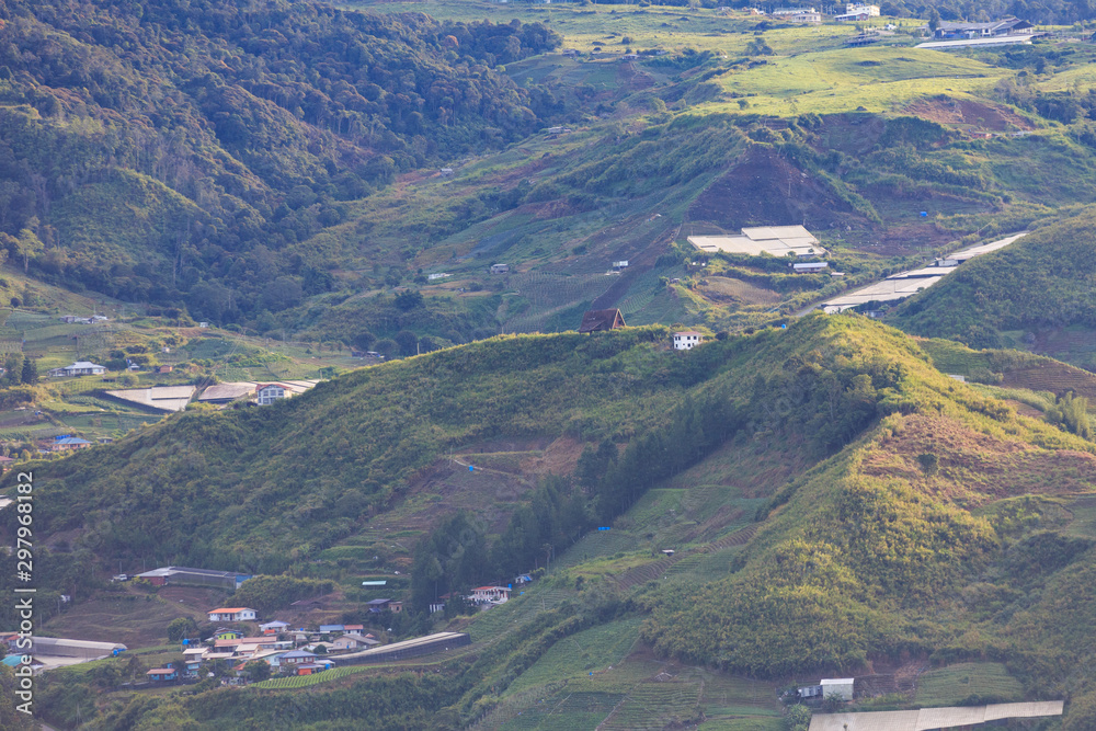 Beautiful Nature rural landscape of Rural local house with green forest ...