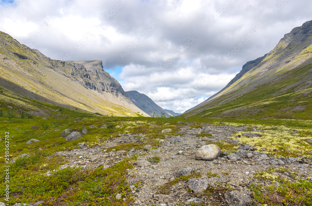 Mountain tundra with mosses and rocks covered with lichens, Hibiny ...