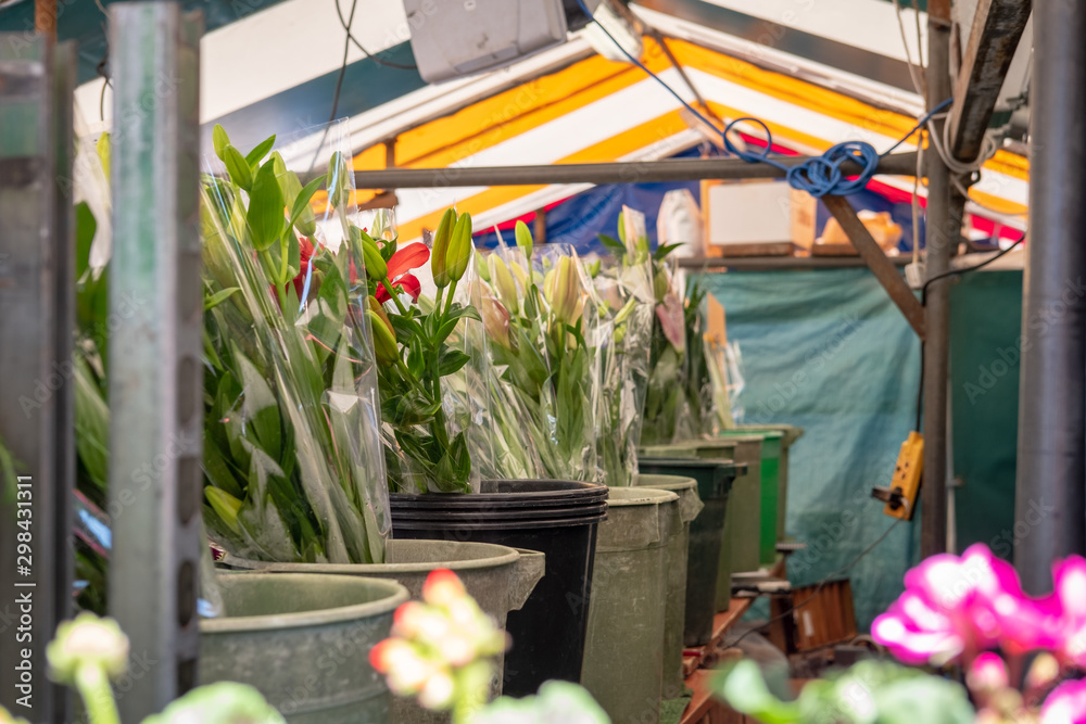 Isolated, shallow focus view of bunches of flowers seen in buckets of ...