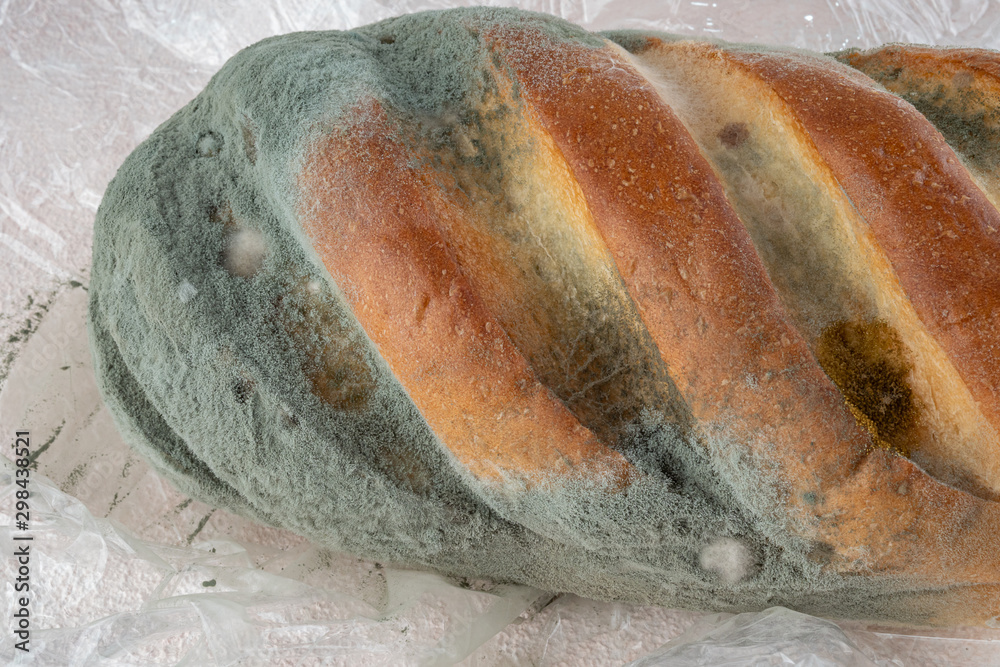Mold on bread, a stale loaf with a large coating of mold. Close up ...