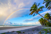 Tropical Island Rainbow Free Stock Photo - Public Domain Pictures
