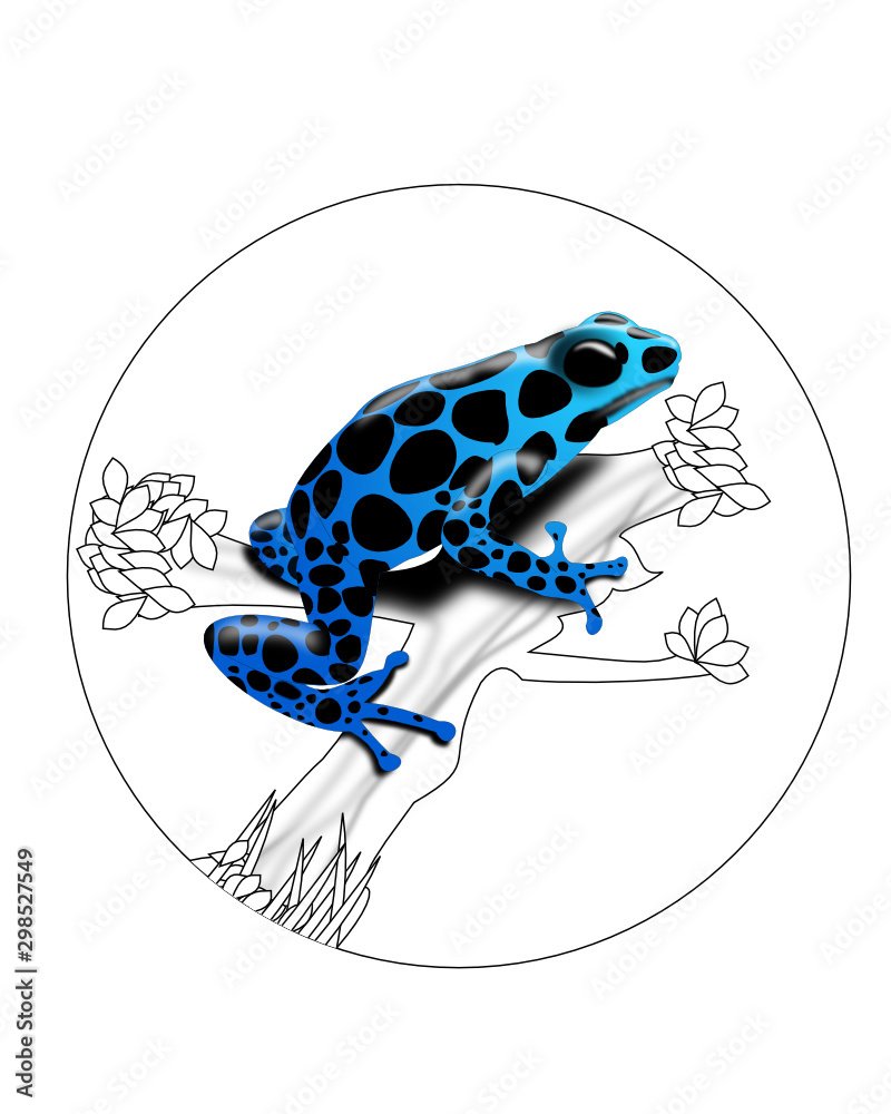 blue poison dart frogs as vector for logos, web Stock Vector | Adobe Stock