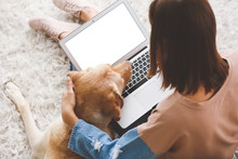 Dog Using Laptop Computer Free Stock Photo - Public Domain Pictures