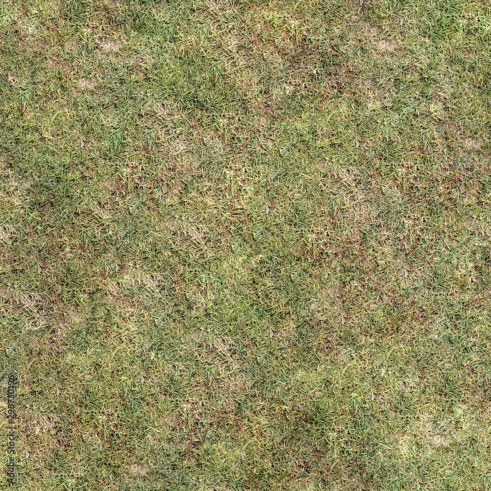 Grass Texture Seamless Material Map for creating materials, background ...