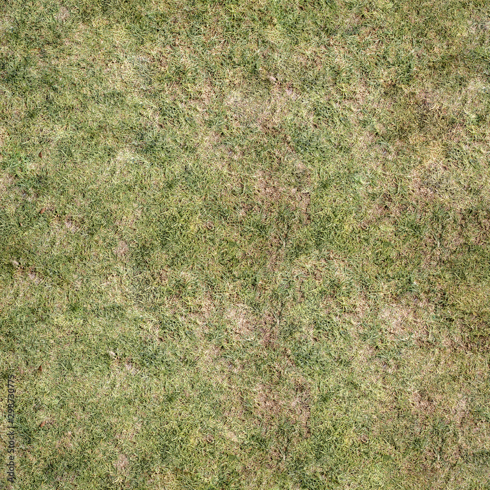Grass Texture Seamless Material Map for creating materials, background ...