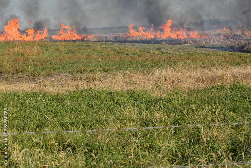 Grass Fire Stock Photo | Adobe Stock